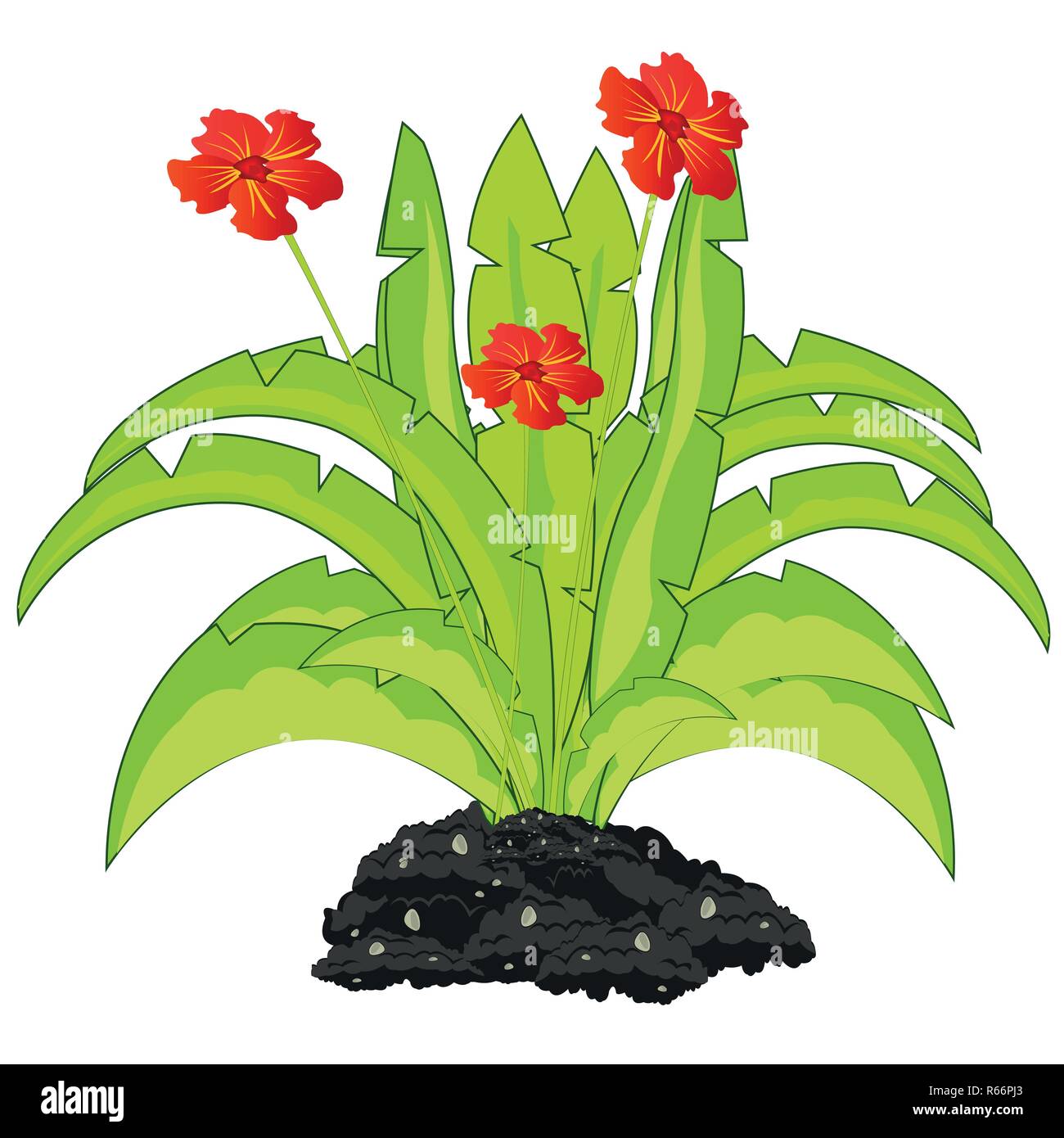 Flower and bush Stock Vector Images - Alamy