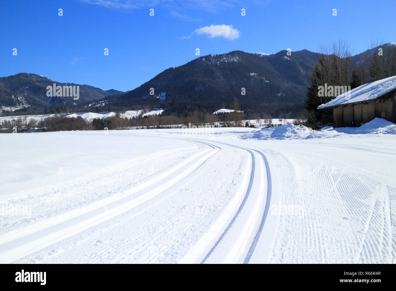 empty cross-country ski trail Stock Photo - Alamy