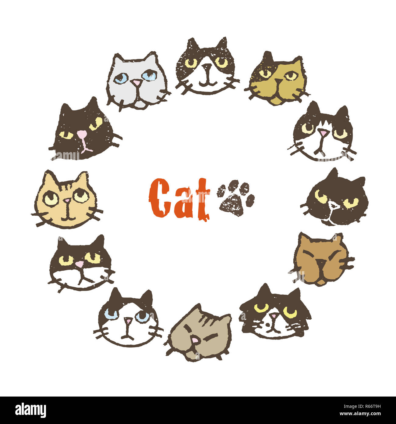 Dark grey cat Cut Out Stock Images & Pictures - Alamy