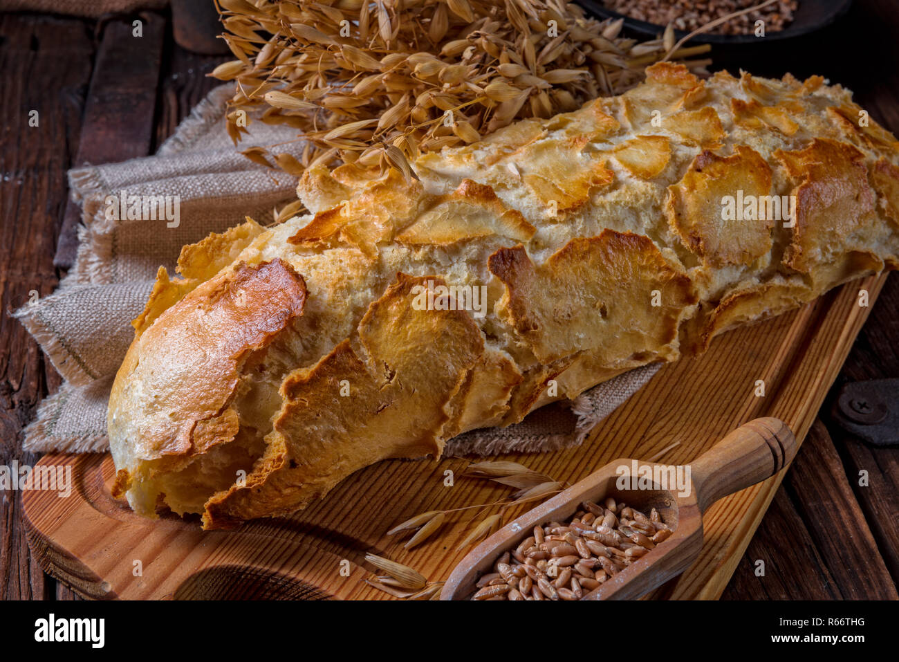 Tiger crust hi-res stock photography and images - Alamy