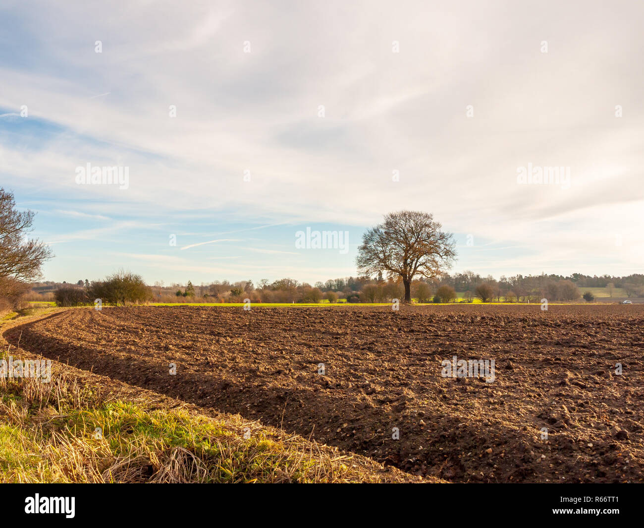 Rural striped summer agricultural hi-res stock photography and images ...