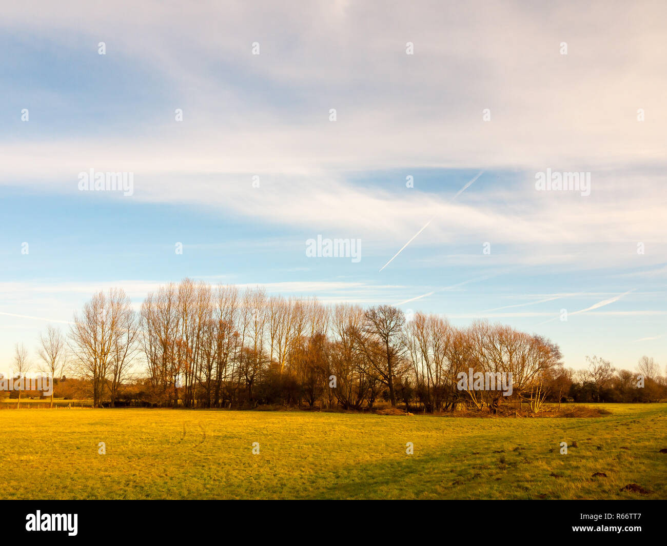 country landscape empty open space tree line sky Stock Photo - Alamy