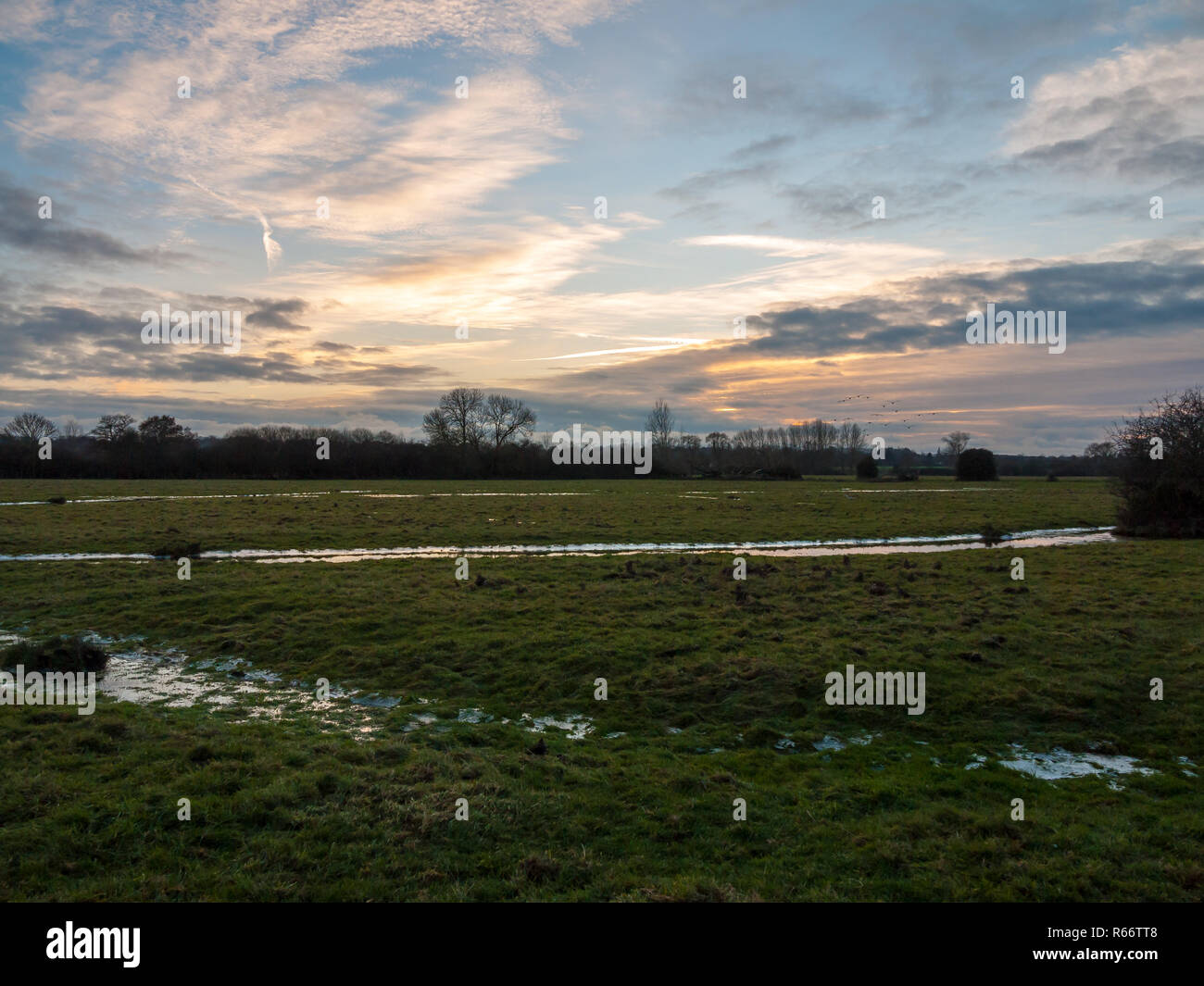 empty wet grass field low light sunset landscape dedham plain empty no ...