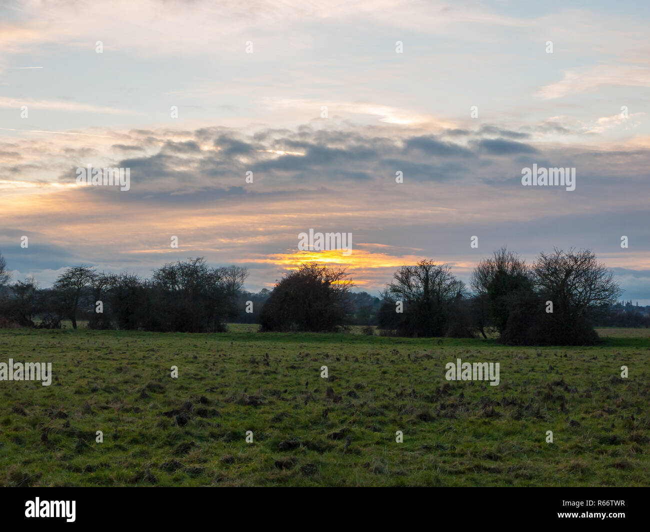 empty wet grass field low light sunset landscape dedham plain empty no ...