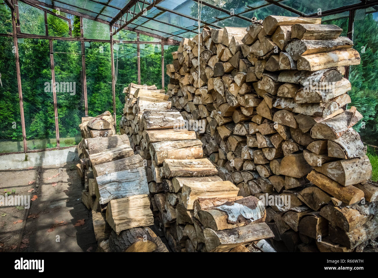Firewood stacked in huge piles in hothouse Stock Photo - Alamy