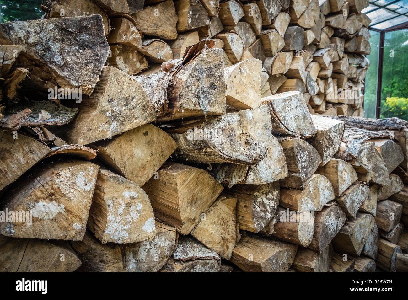 Firewood stacked in huge piles in hothouse Stock Photo - Alamy