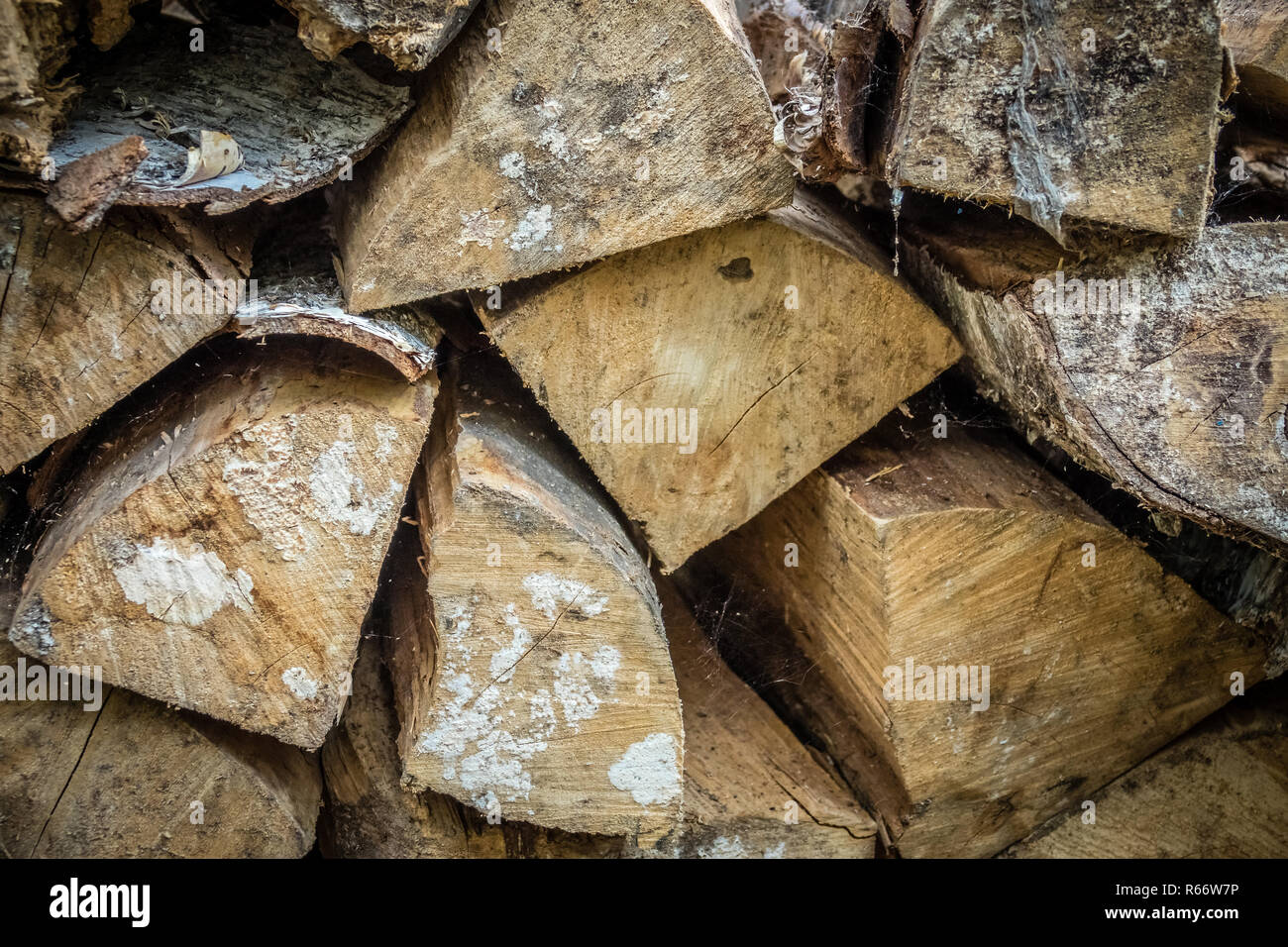 Big wood chunks hi-res stock photography and images - Alamy
