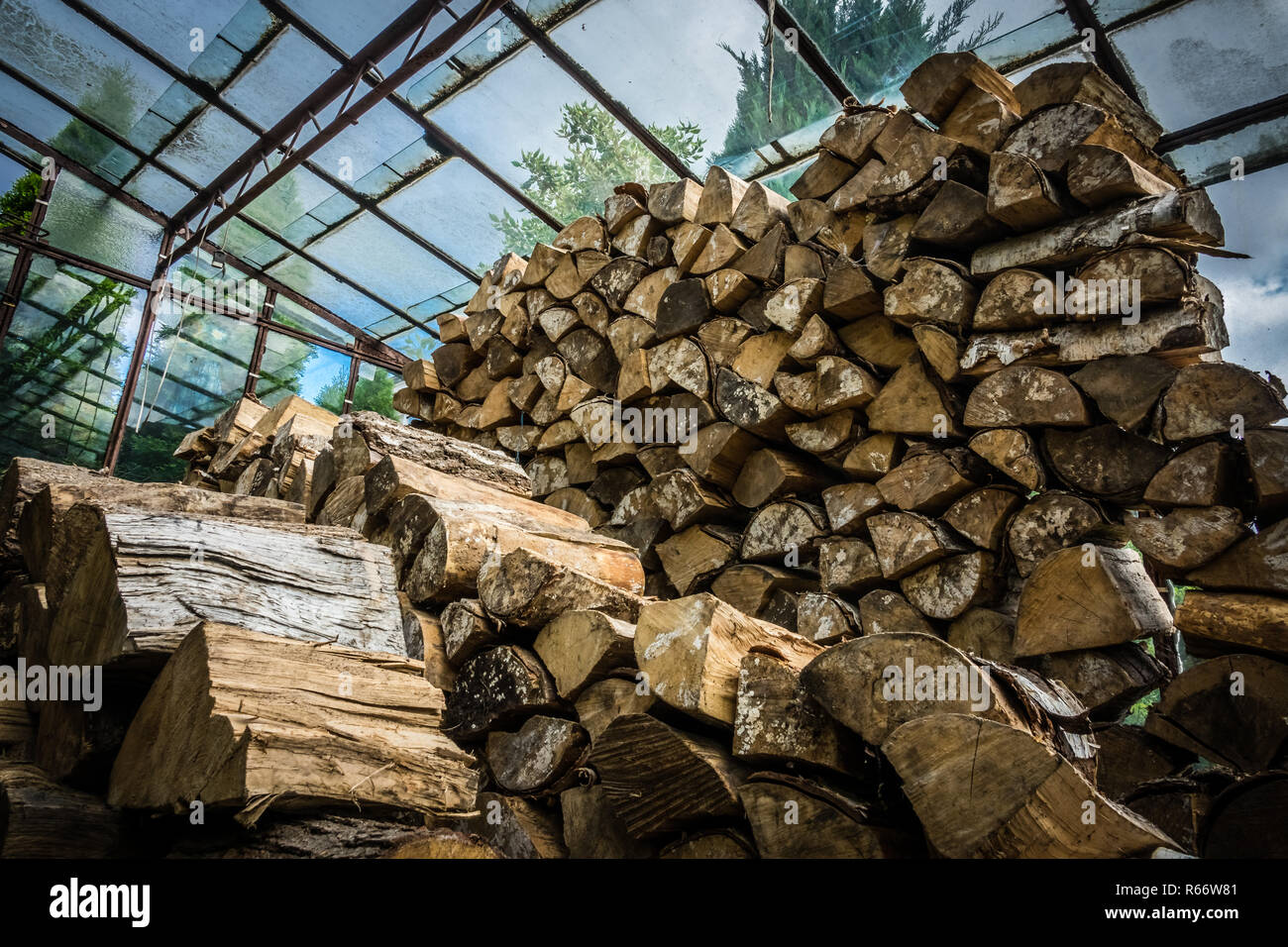 Firewood stacked in huge piles in hothouse Stock Photo - Alamy