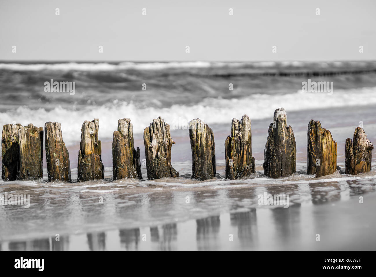 Old wooden breakwaters hi-res stock photography and images - Alamy