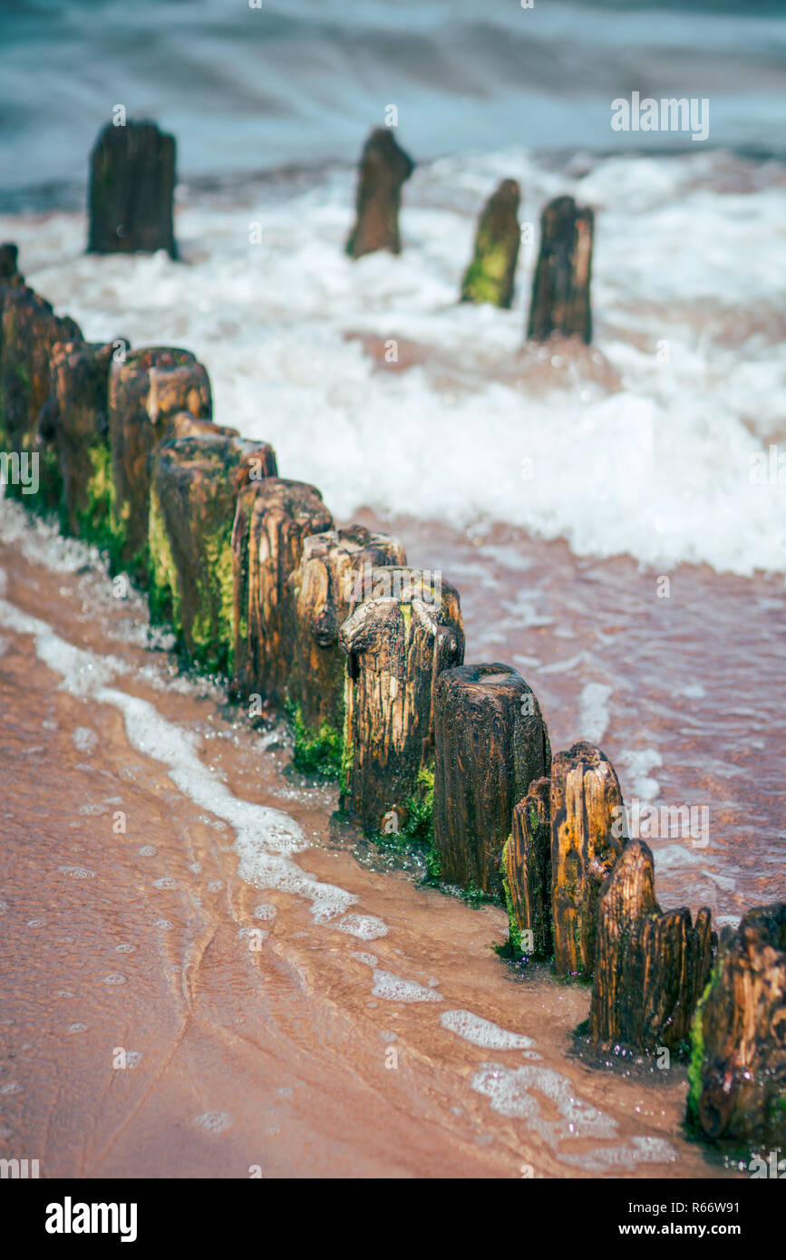 Old wooden breakwaters hi-res stock photography and images - Alamy
