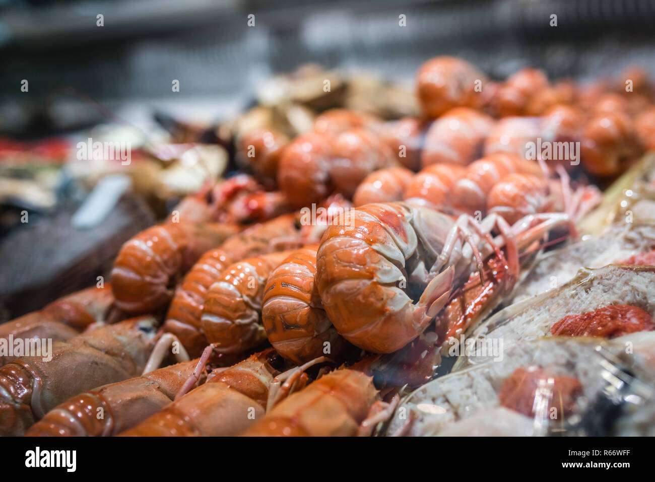 Display restaurant prawns lobster hi-res stock photography and images ...