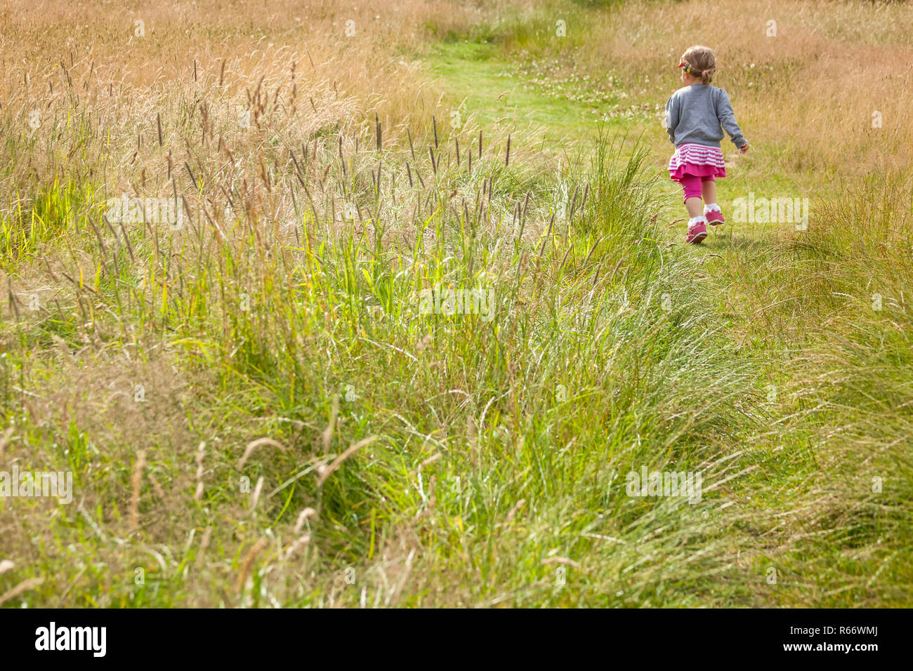Girl walking through tall grass hi-res stock photography and images - Alamy