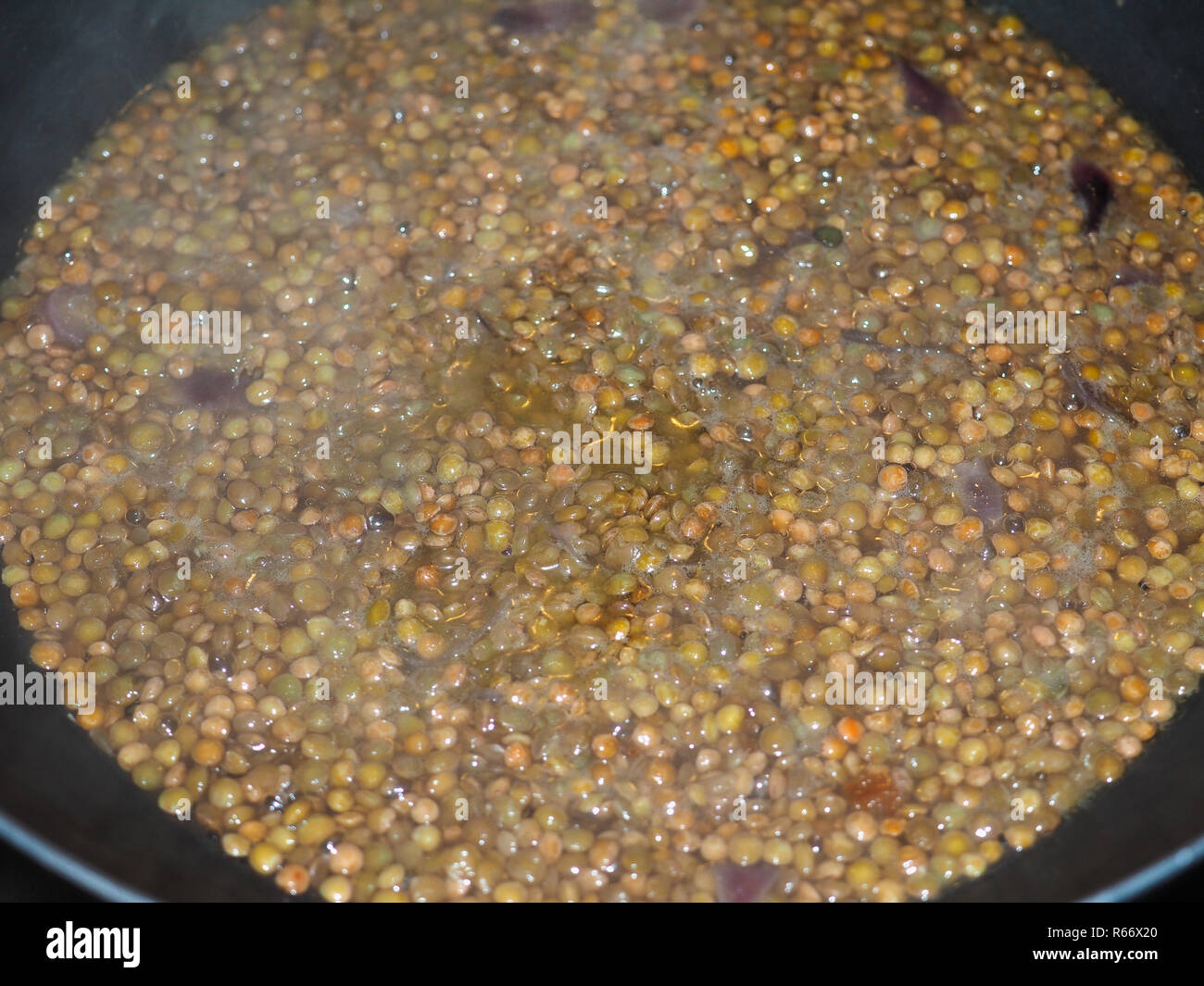 lentils pulse grain legume (Lens Culinaris) legumes vegetables food ...