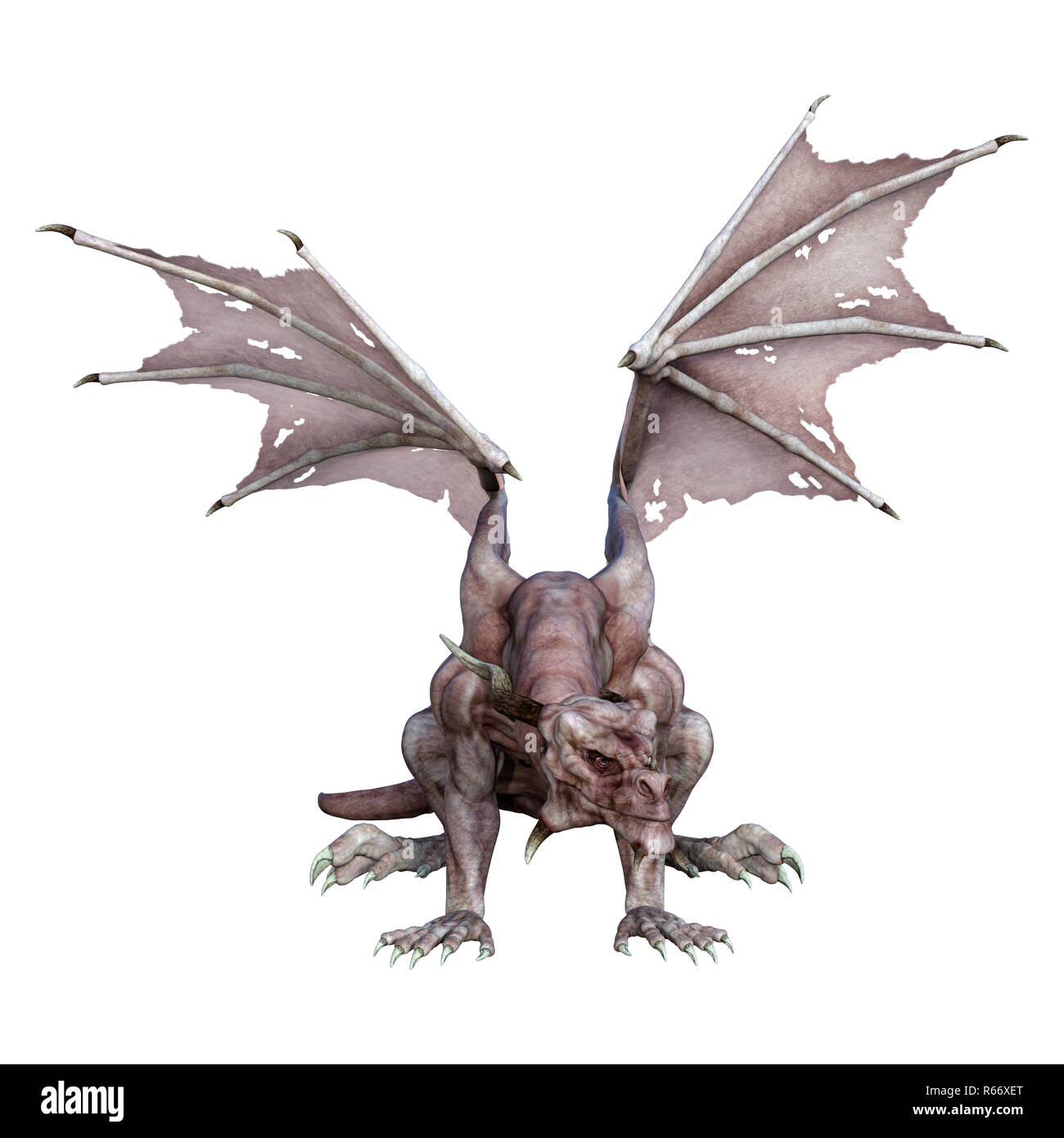 3D Rendering Fantasy Vampire Dragon on White Stock Photo - Alamy