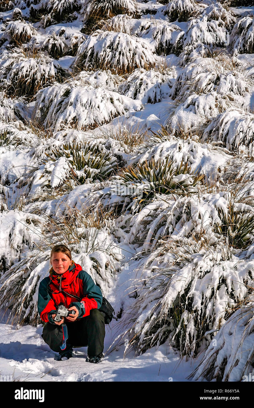On the trail to the summit of Mount Roy in winter Stock Photo - Alamy