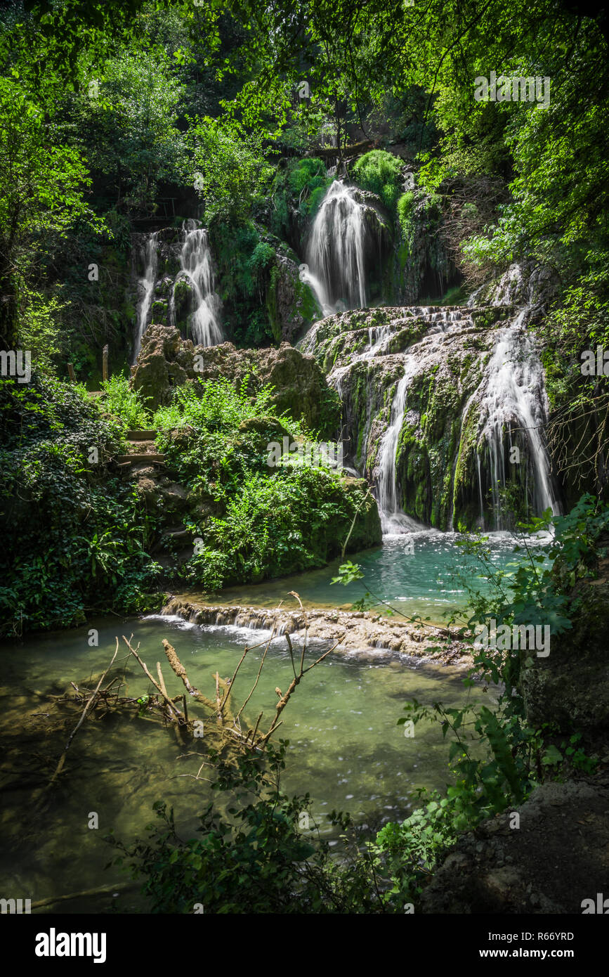 Stream water fall lush green hi-res stock photography and images - Alamy