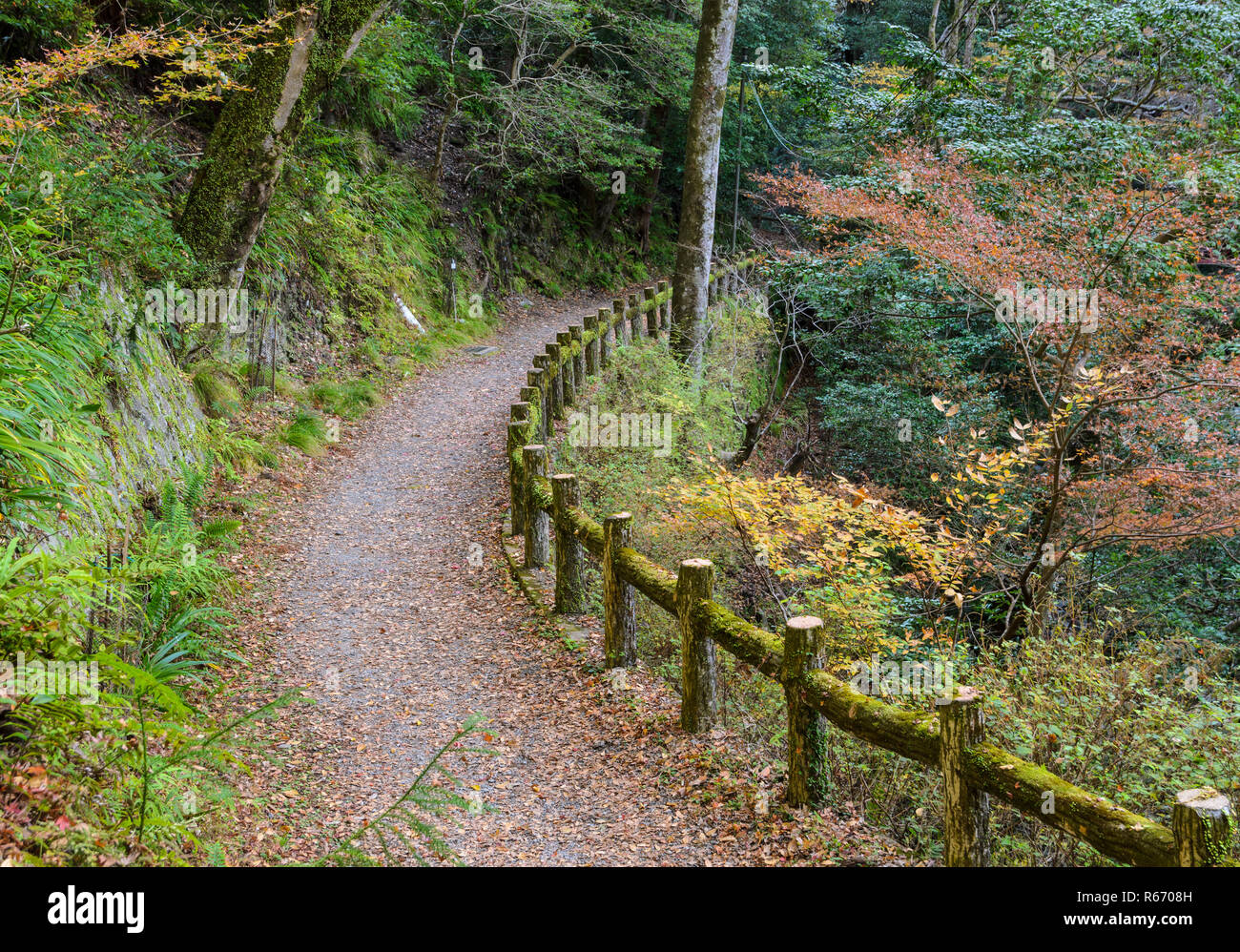 Minoo hi-res stock photography and images - Alamy