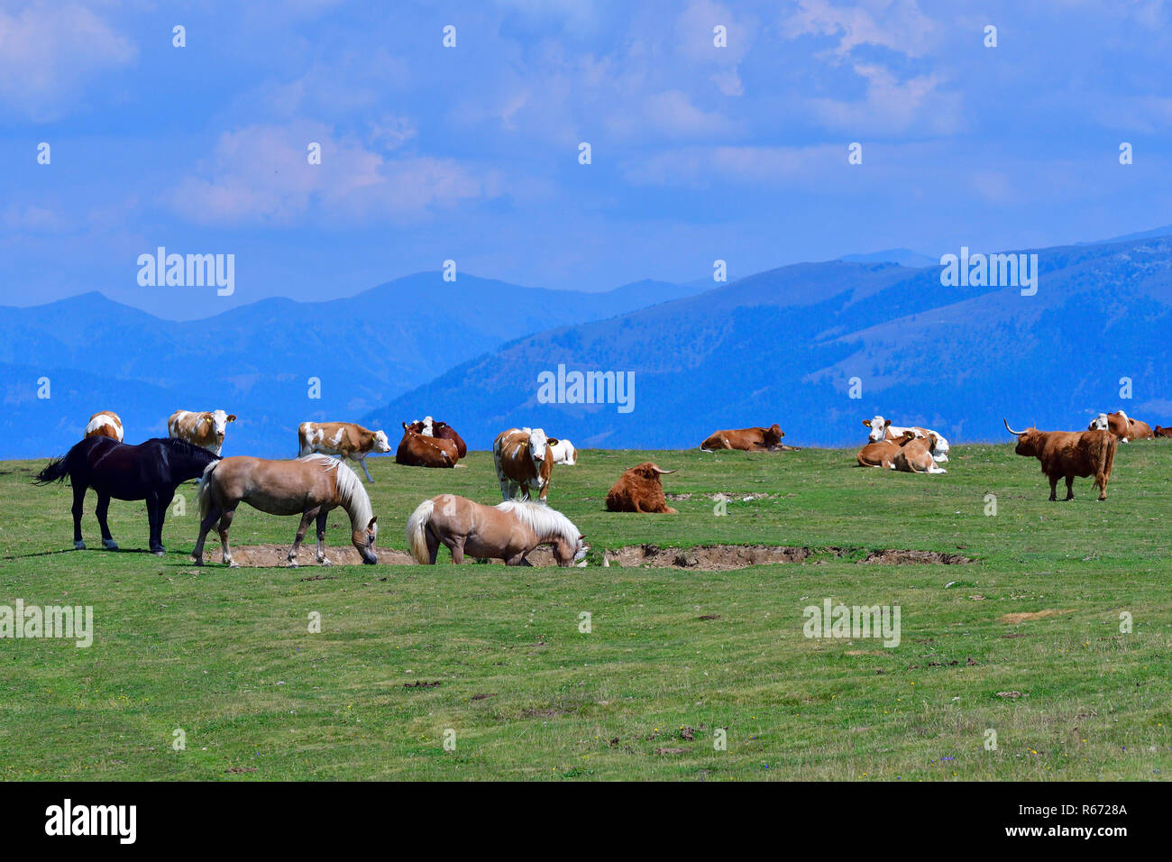 Alm almwiesen hi-res stock photography and images - Alamy