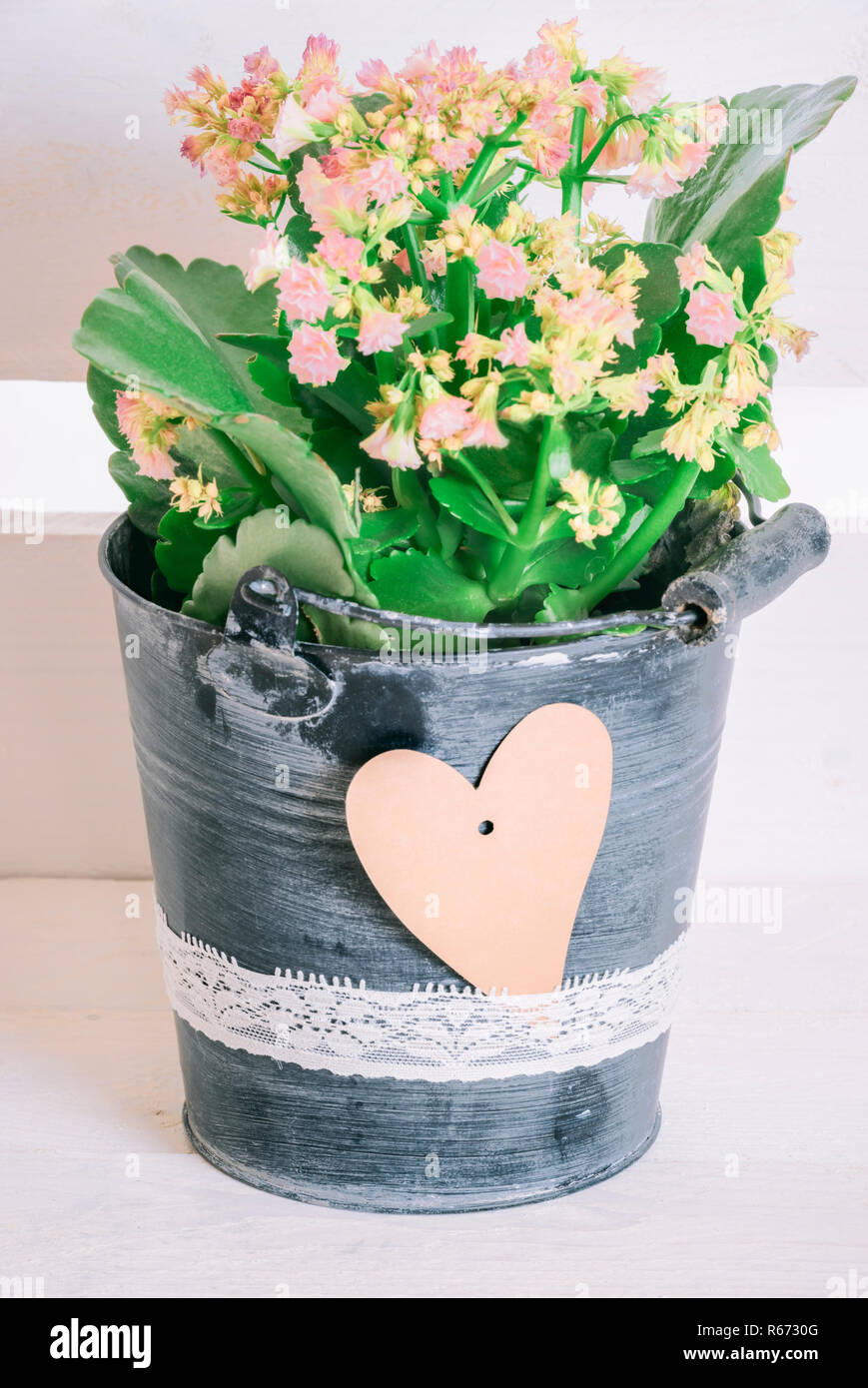 Heart shaped bucket hi-res stock photography and images - Alamy