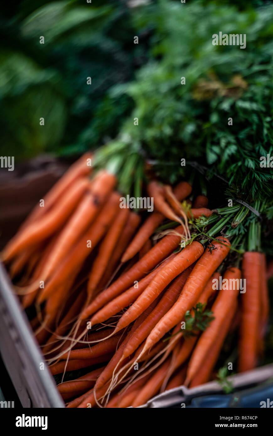 Organic carrots on sale Stock Photo - Alamy