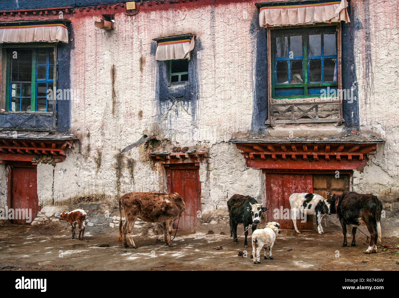 Traditional tibetan home Stock Photo - Alamy