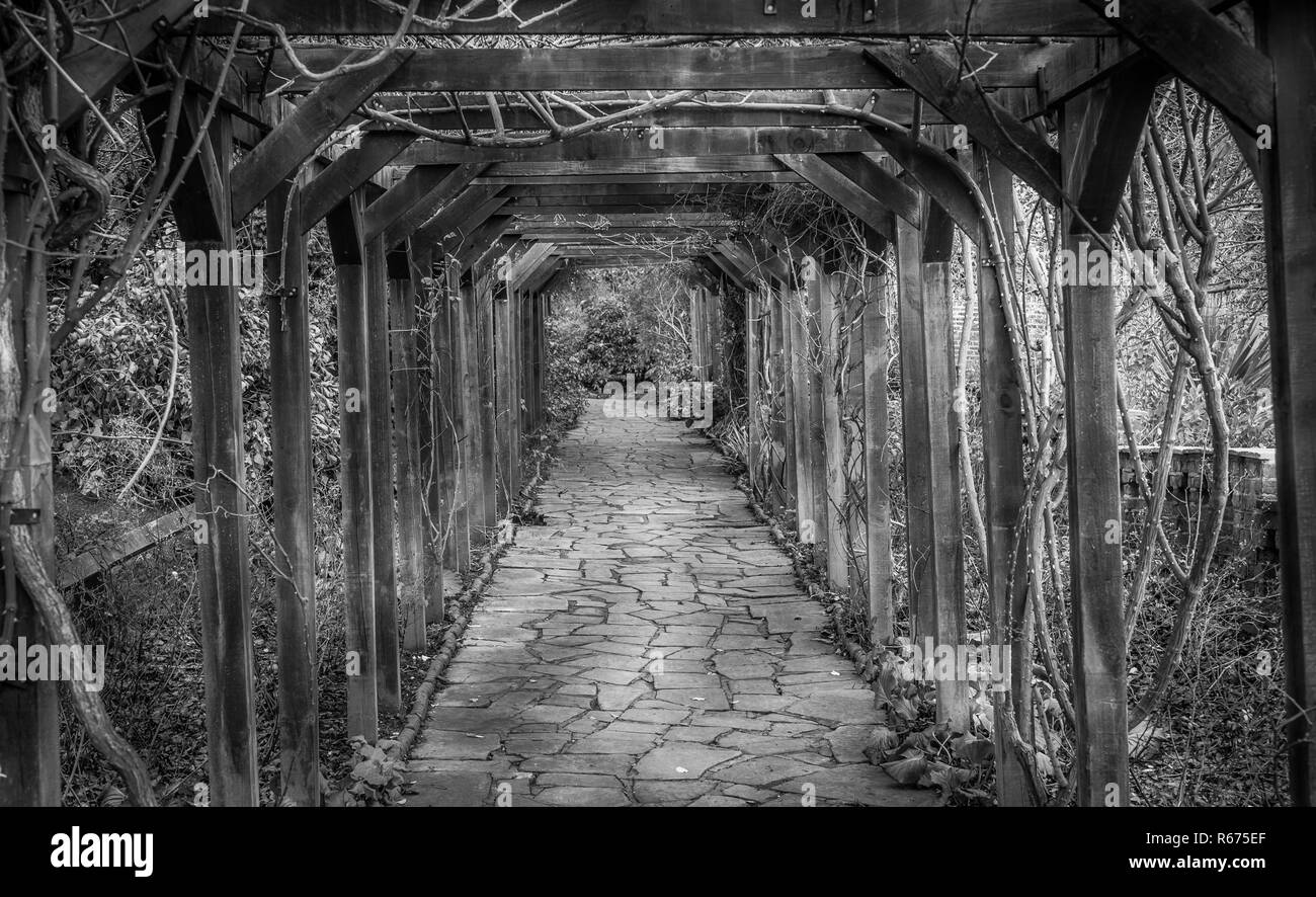 Fall landscape pathway in Black and White Stock Photos & Images - Alamy