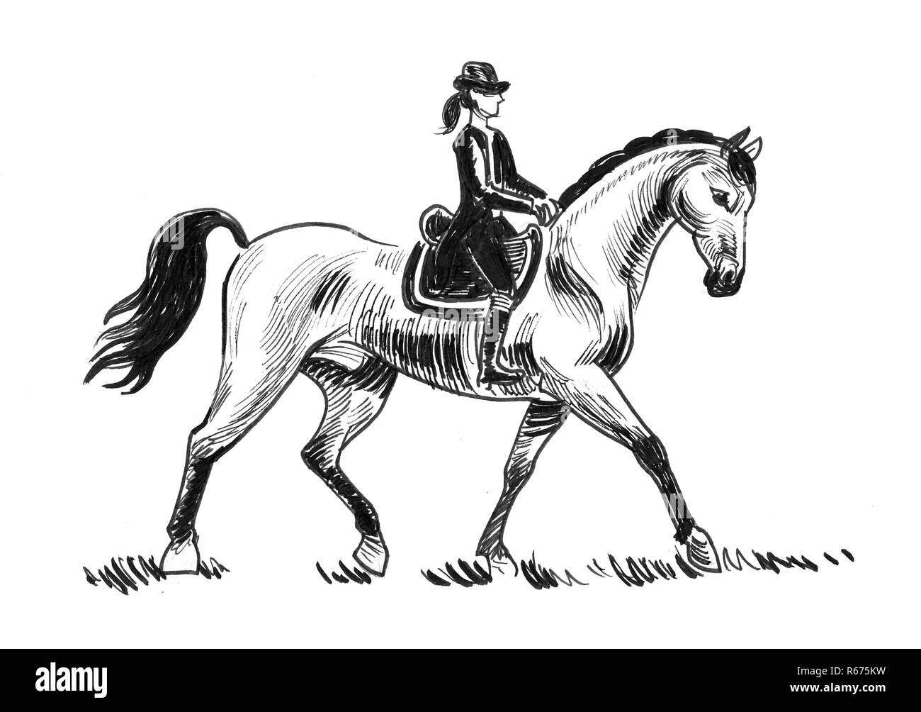 Horsewoman horse Black and White Stock Photos & Images - Alamy