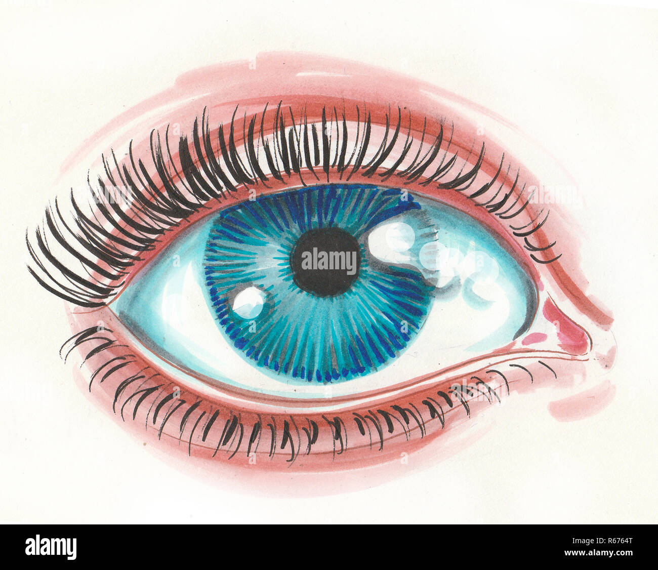 Blue Eye Drawing Colored Pencil