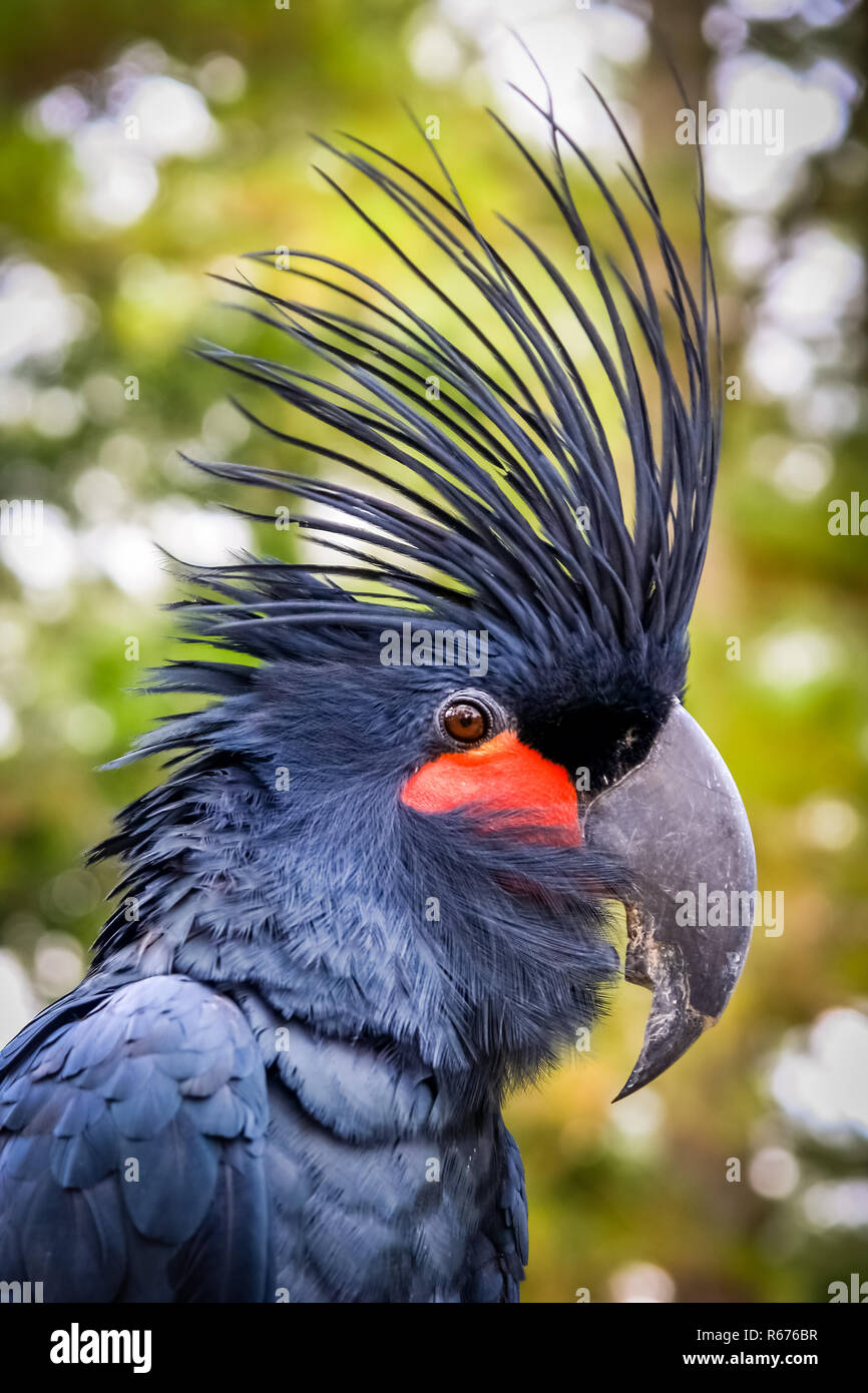 Nomadic movement hi-res stock photography and images - Alamy