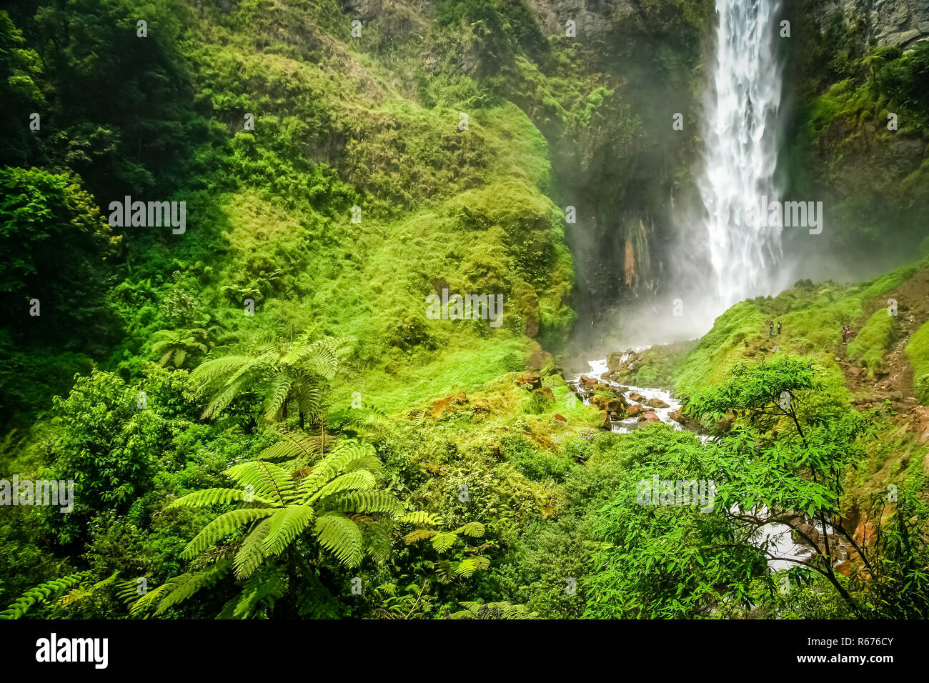 Pisu hi-res stock photography and images - Alamy