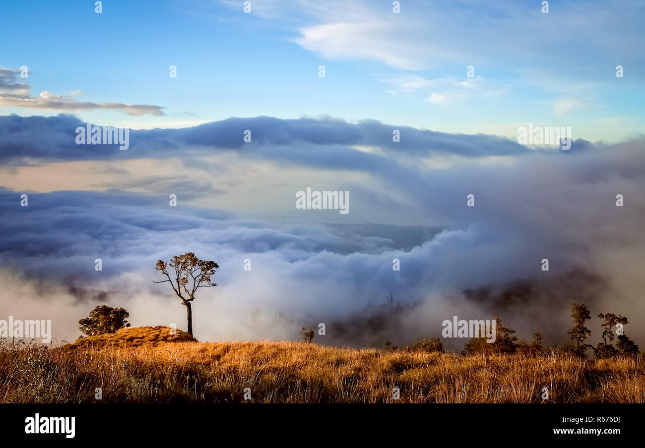 View From Gunung Rinjani Stock Photo - Alamy