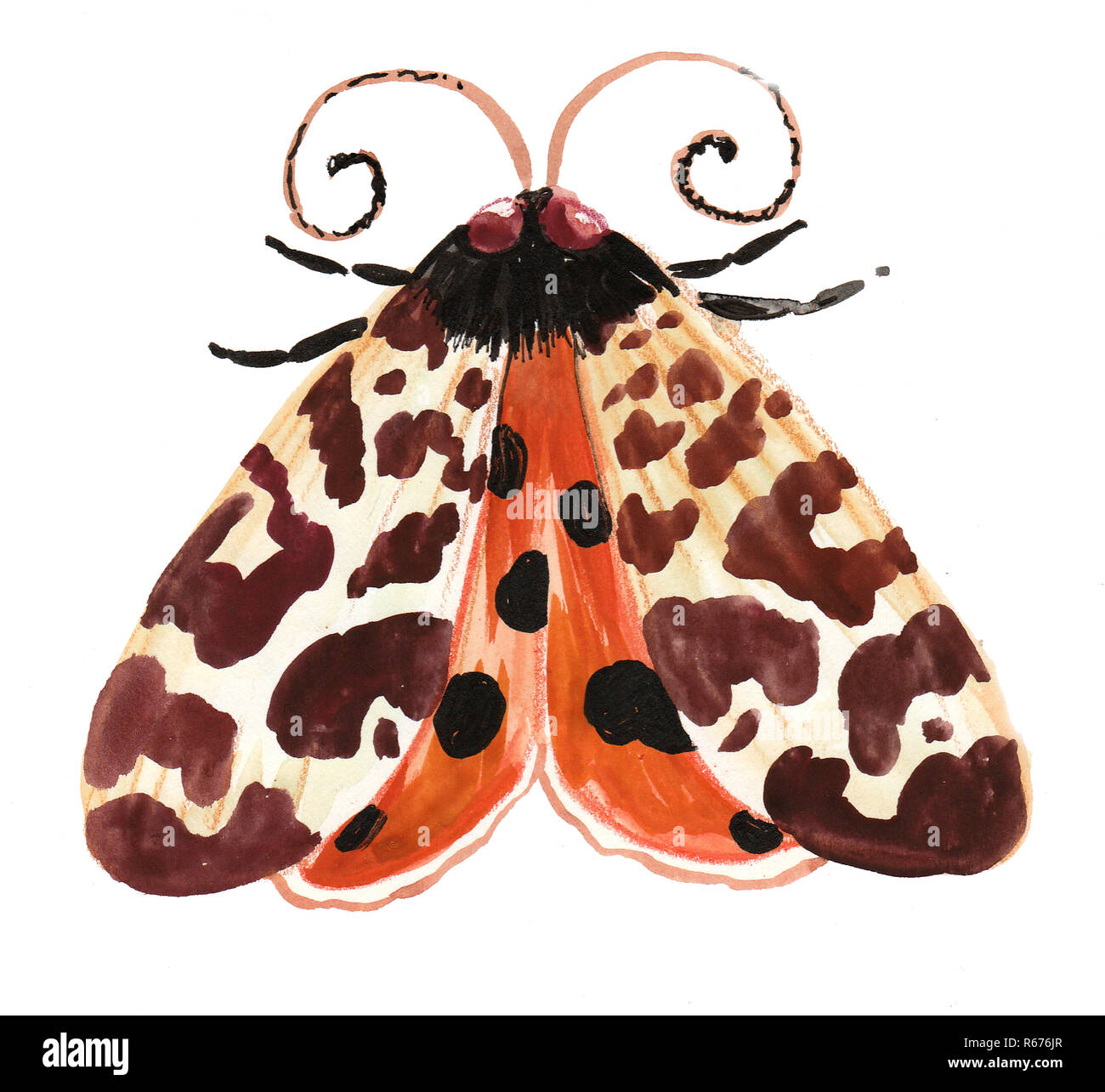 Colorful moth hi-res stock photography and images - Alamy