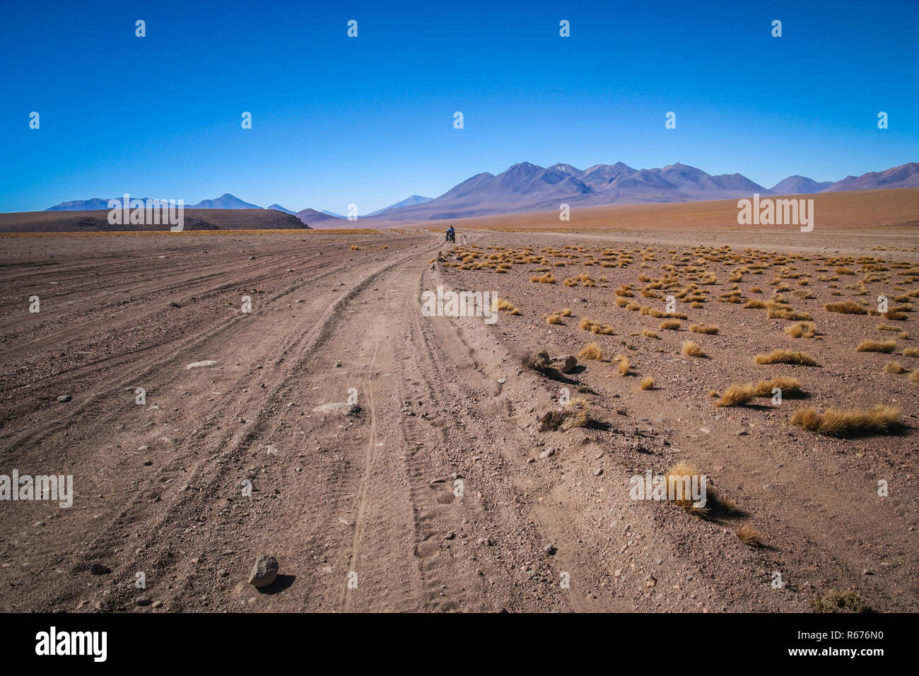 Corrugated road in Altiplano Stock Photo - Alamy