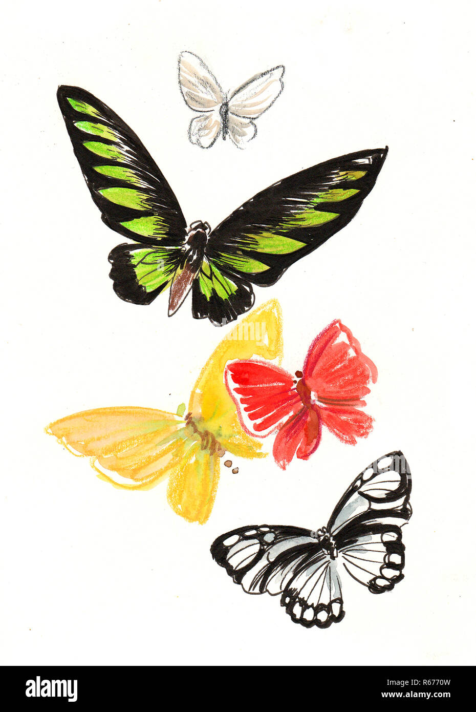Butterfly drawing, ink Cut Out Stock Images & Pictures - Alamy