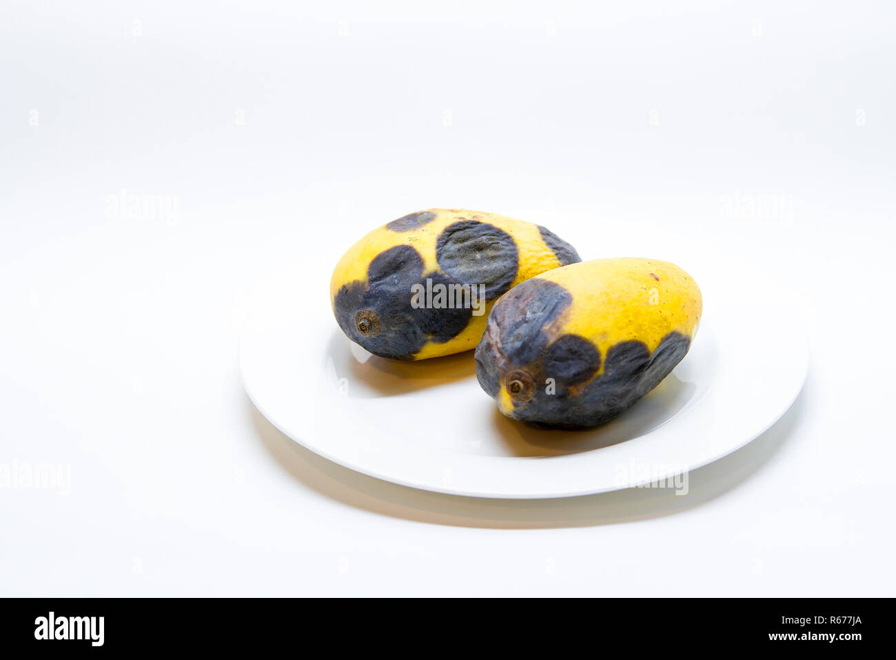 Rotten mango hi-res stock photography and images - Alamy