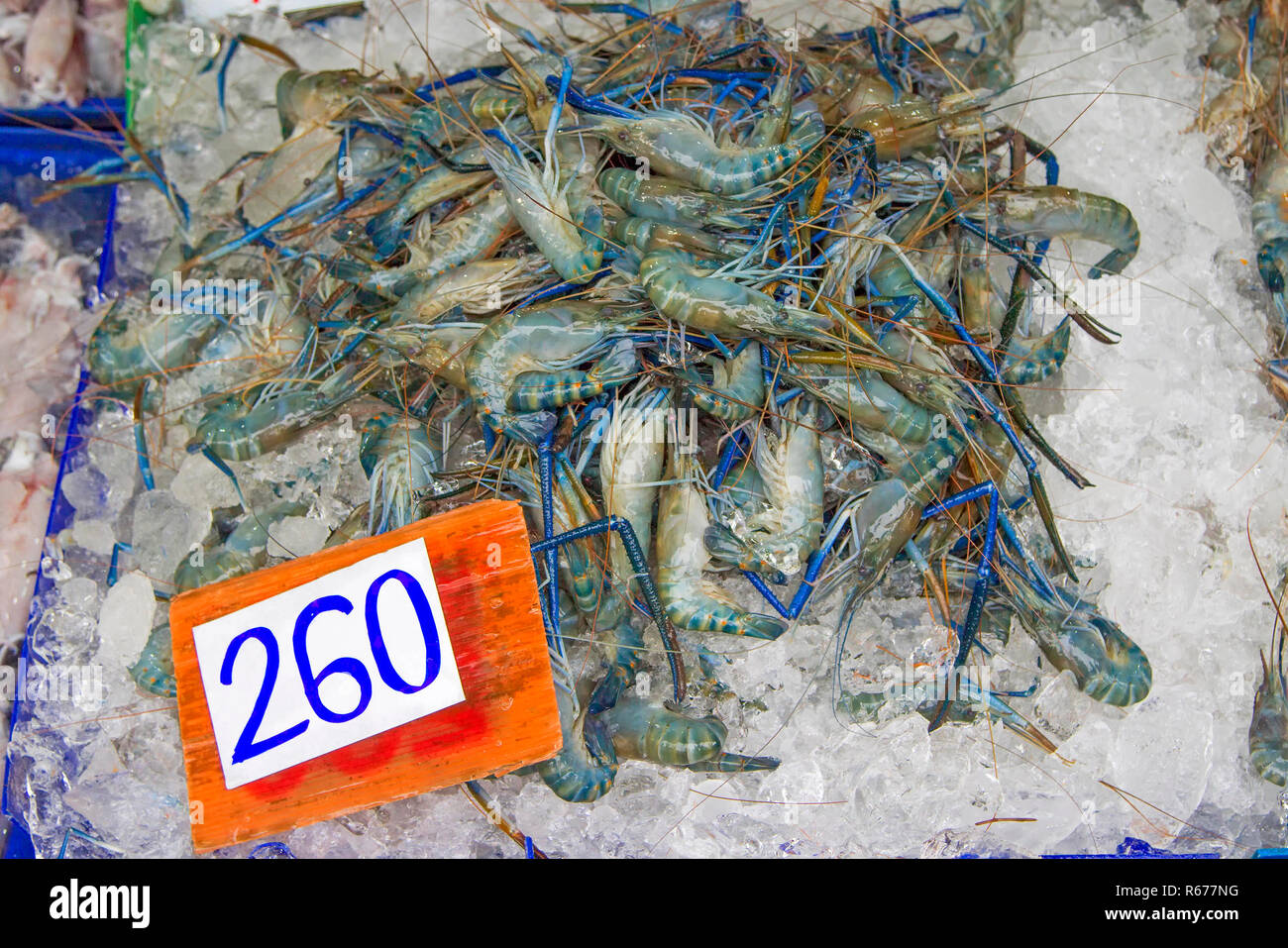 Many live freshwater prawns In the ice Price tag (baht Stock Photo - Alamy