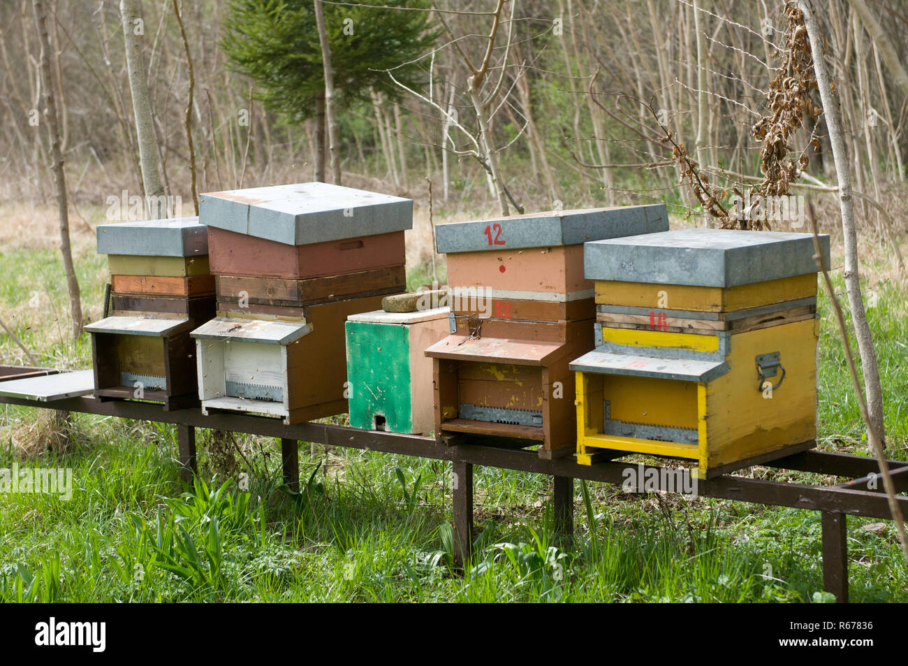 the beehives in the countryside Stock Photo - Alamy