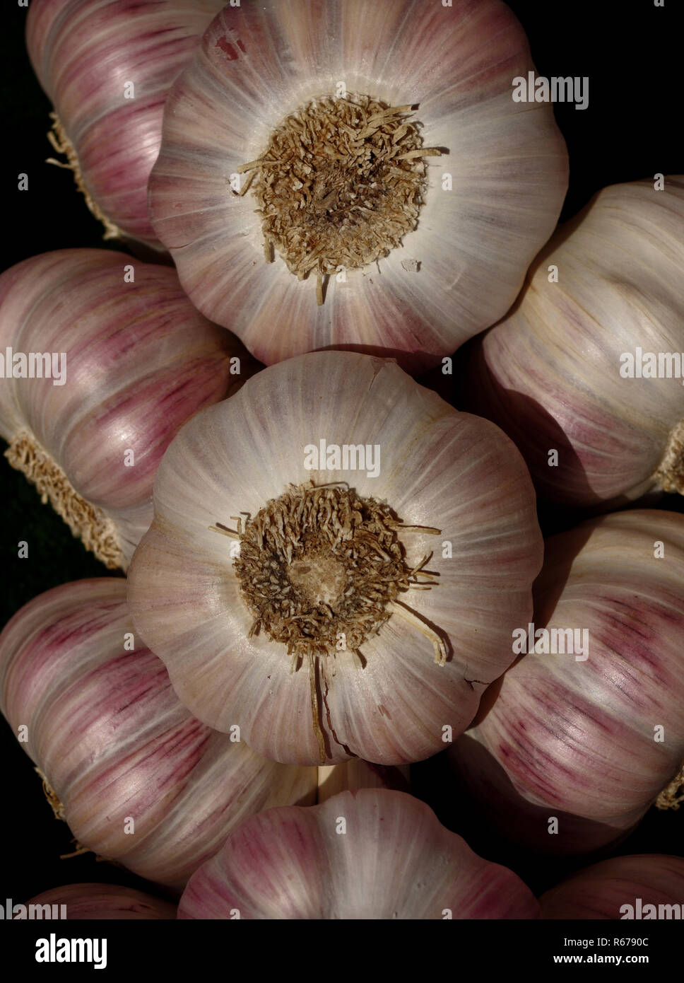 Part of a bunch of garlic Stock Photo - Alamy