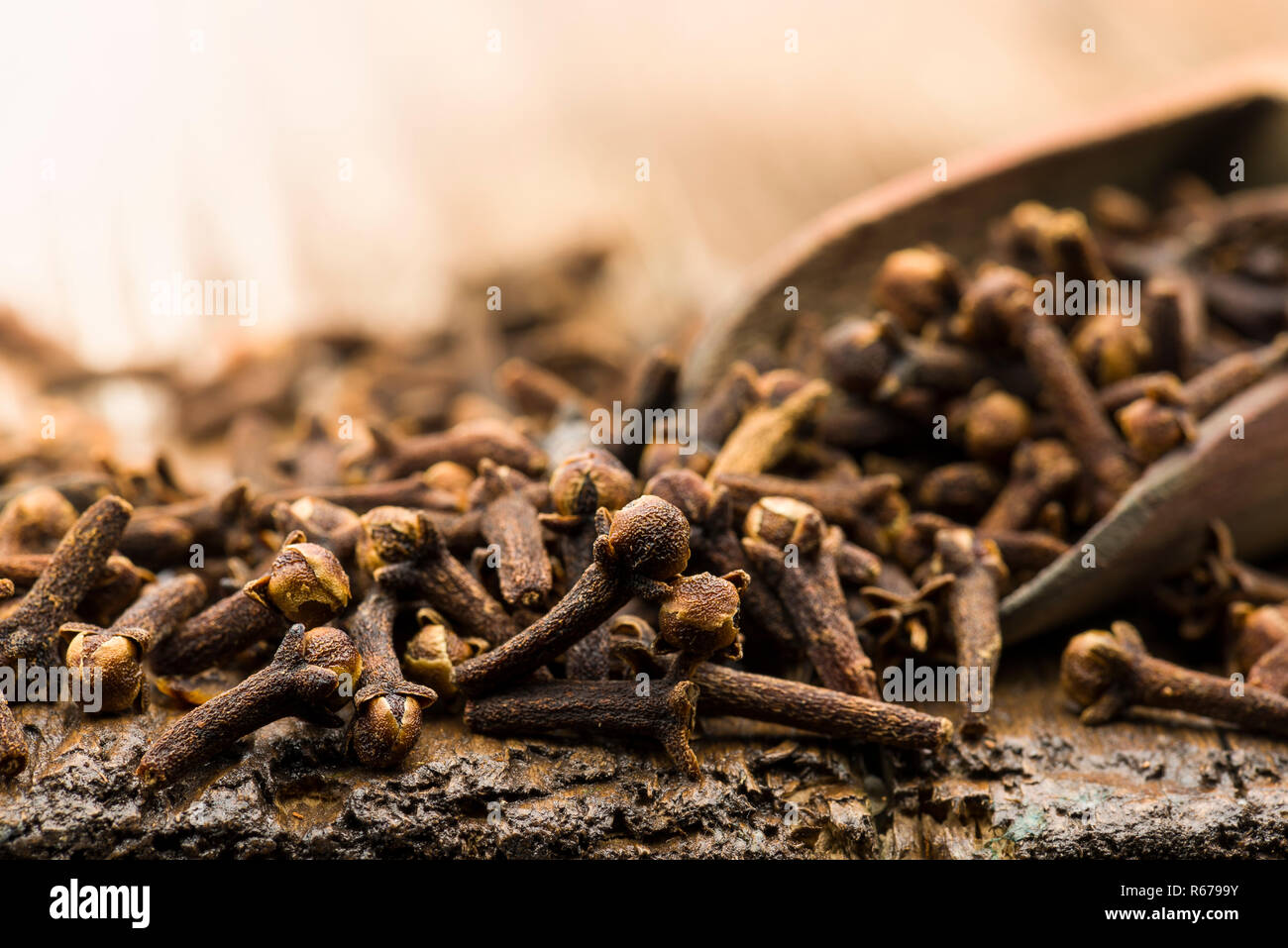 Clovees hi-res stock photography and images - Alamy