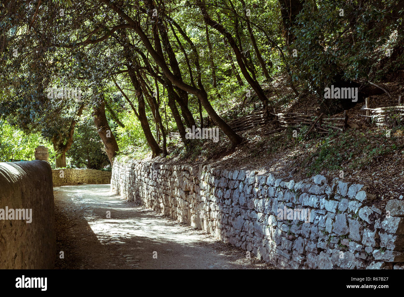 Small road in the woods Stock Photo - Alamy