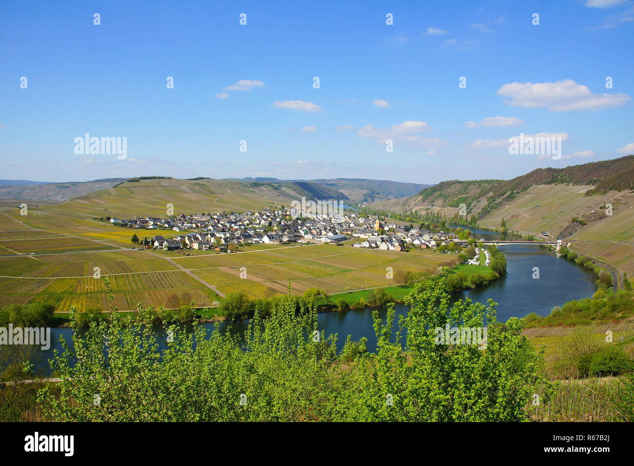 Trittenheim on mosel hi-res stock photography and images - Alamy