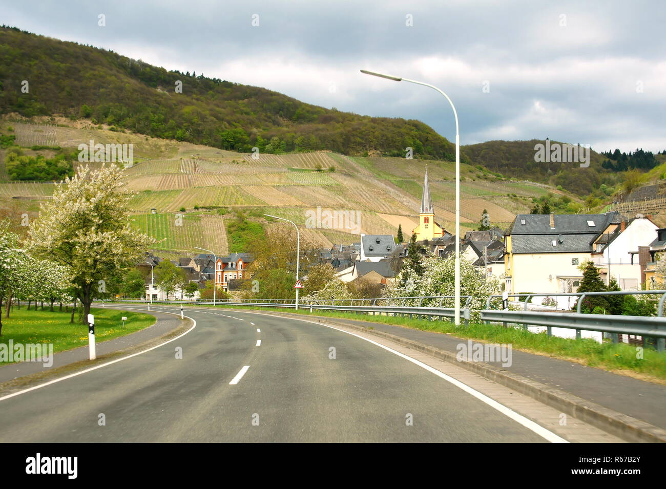 senheim on the moselrn Stock Photo - Alamy