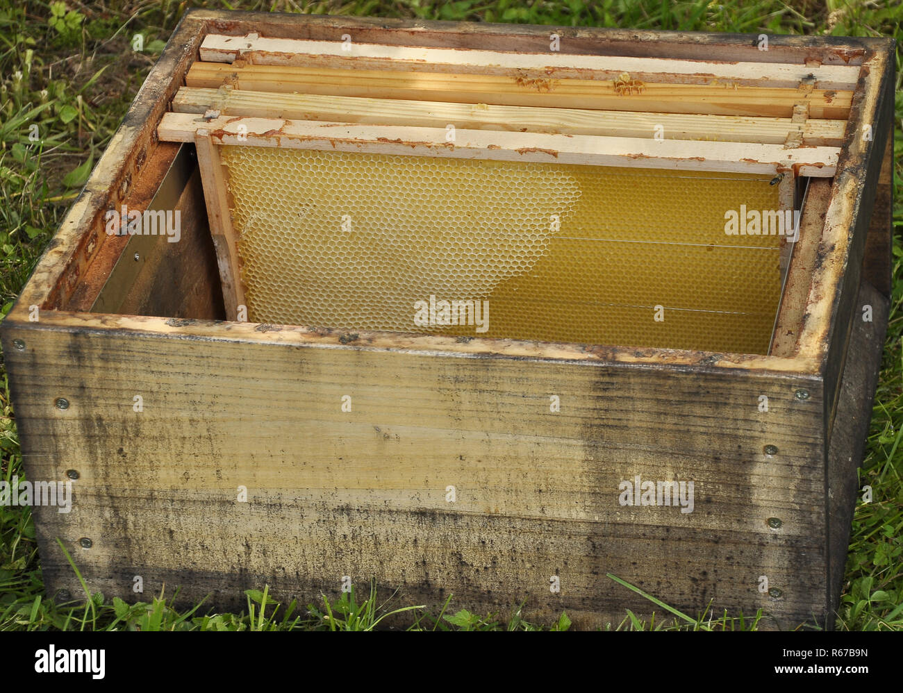 Four frames hi-res stock photography and images - Alamy