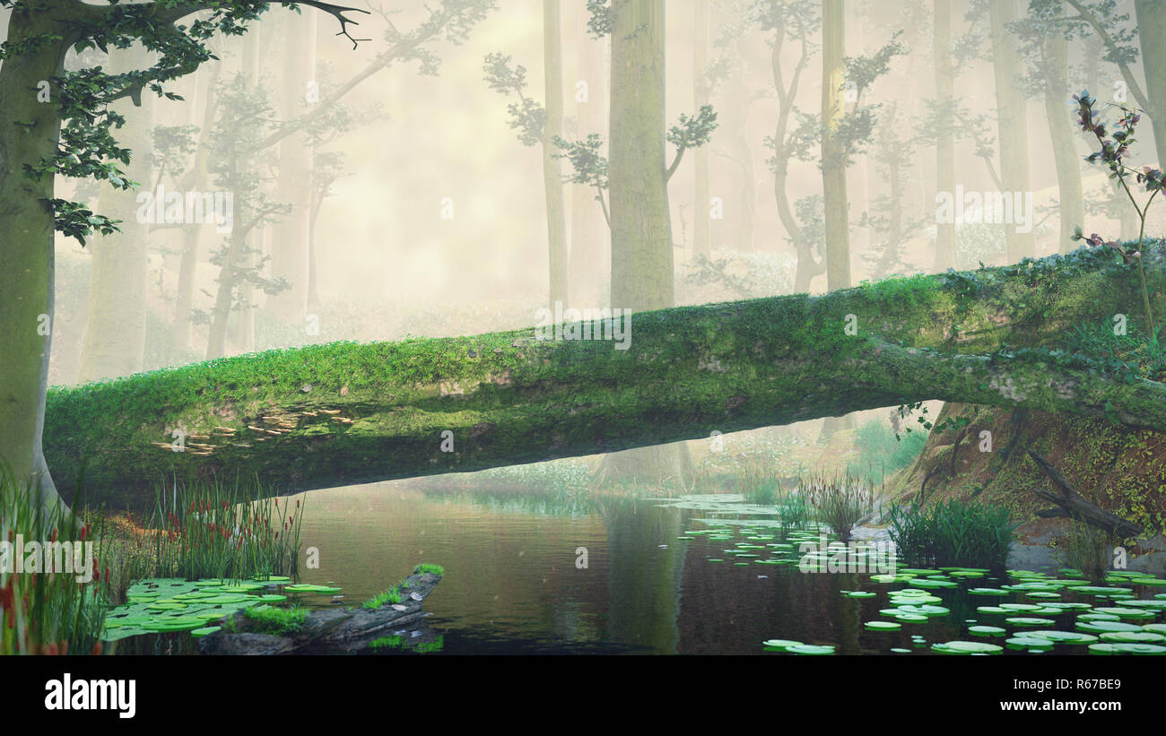 fallen tree, natural crossing in fantasy forest, magical landscape ...