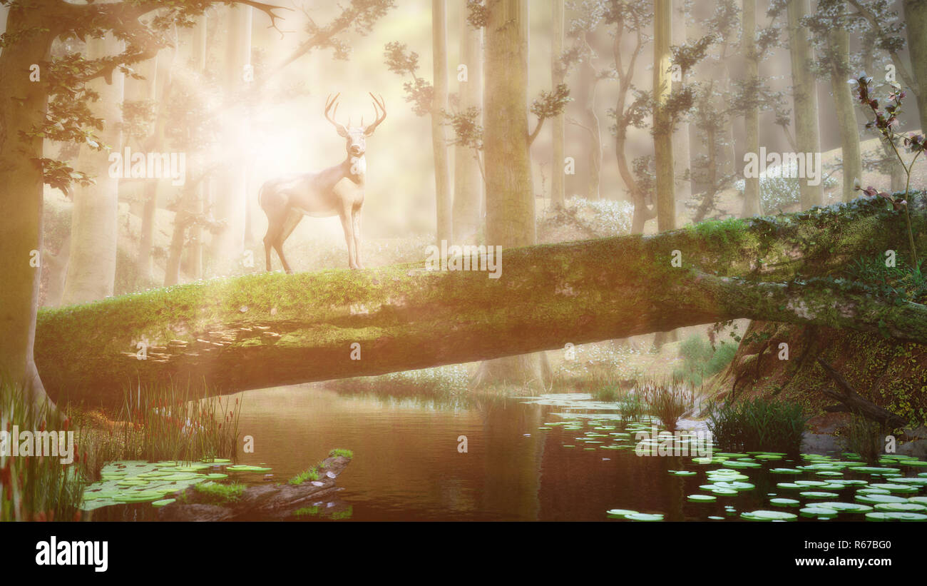 deer standing on fallen tree in beautiful misty forest landscape Stock ...
