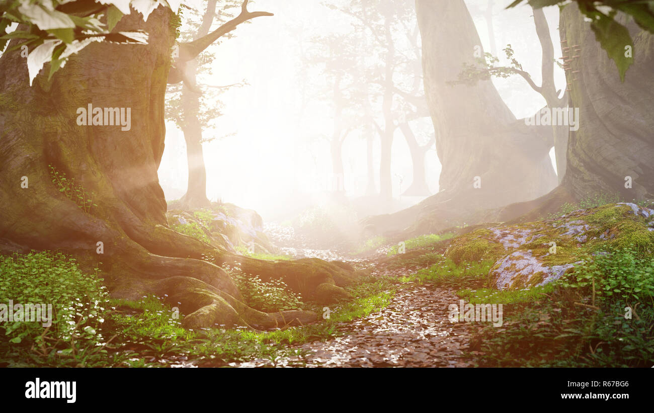 path through magical forest at sunrise, beautiful old trees fantasy ... path through magical forest at sunrise, beautiful old trees fantasy ...