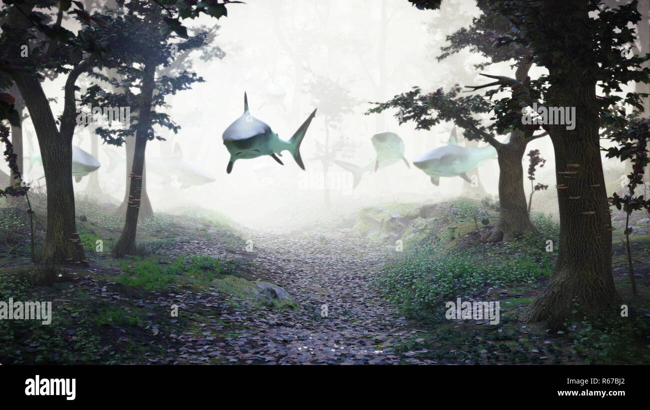 Shark Tale High Resolution Stock Photography and Images - Alamy