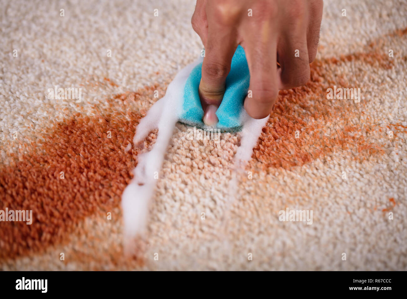 Hand cleaning stain on carpet hi-res stock photography and images - Alamy