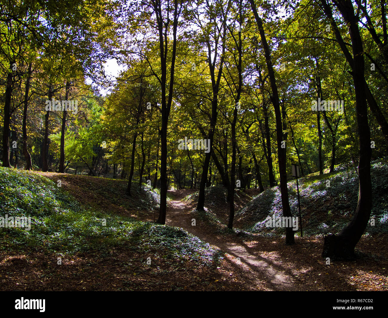 Pedestrian path sun rays hi-res stock photography and images - Alamy