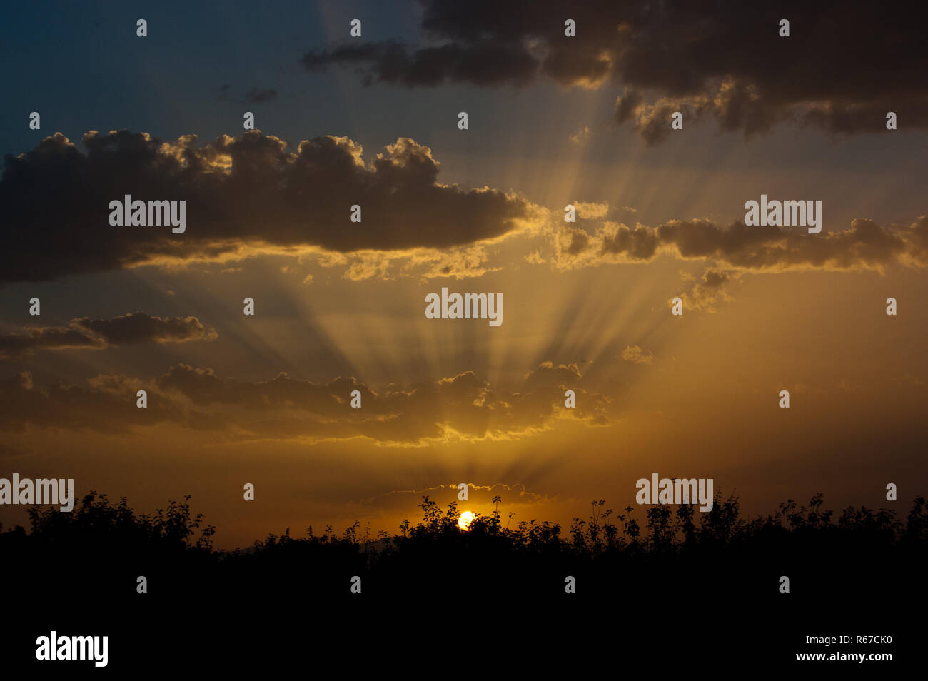 Sunset over a forest in central Serbia Stock Photo - Alamy
